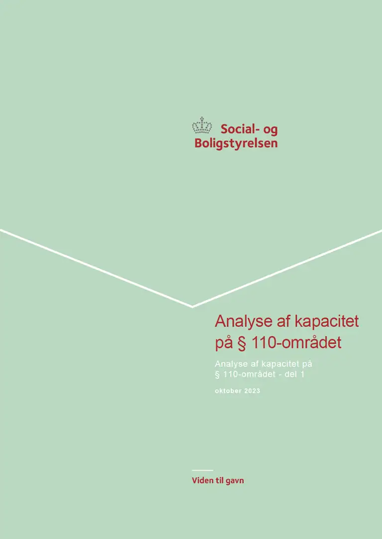Analyse af kapacitet på § 110-området | Social- og Boligstyrelsen